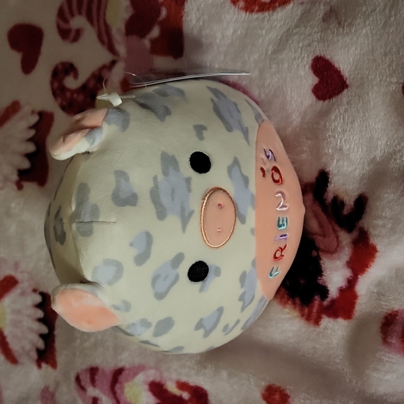 Squishmallows | Toys | 5 Rosie Friends Squishmallow | Poshmark